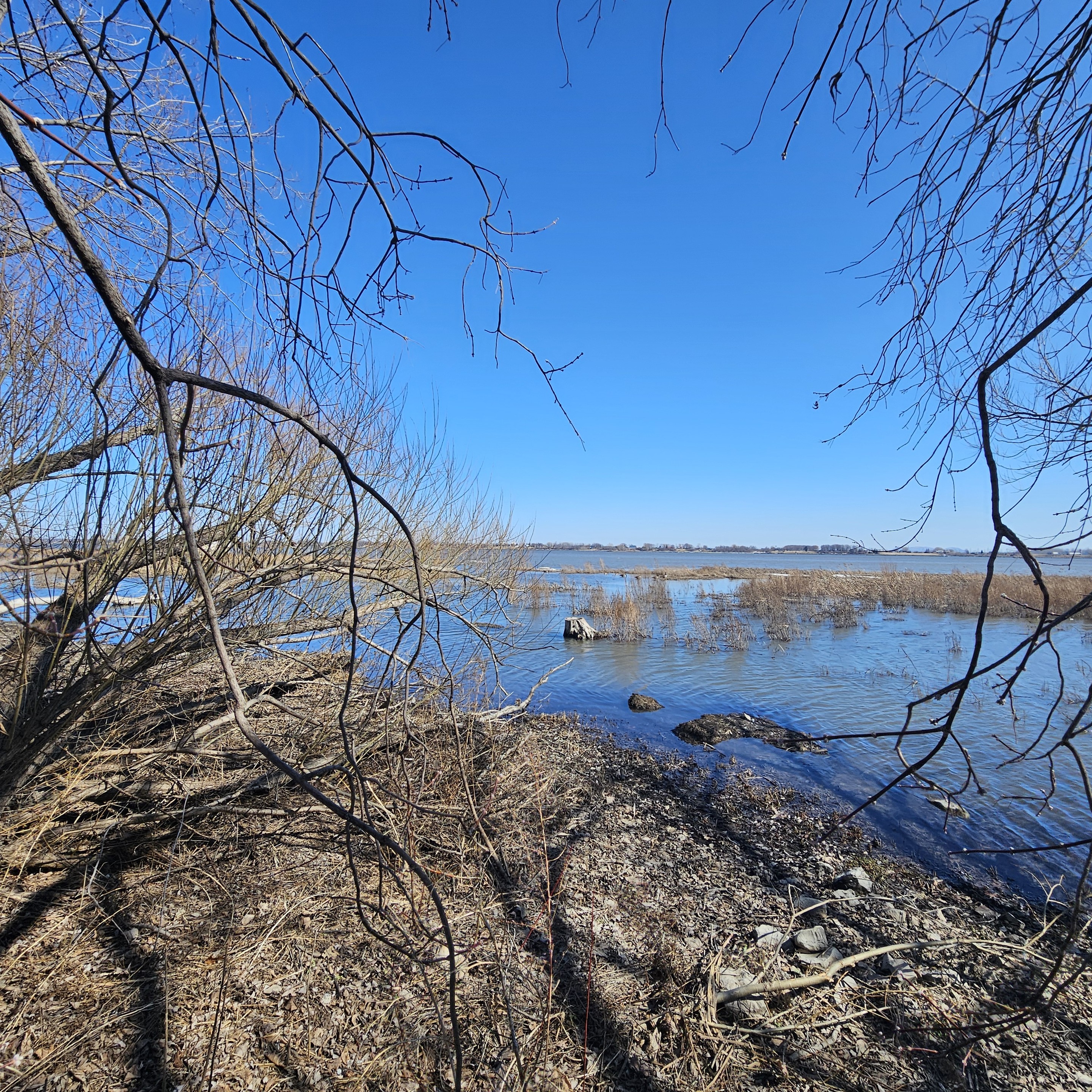 Sophie Trudel (@Sophie_Trudel@qlub.social) - Qlub